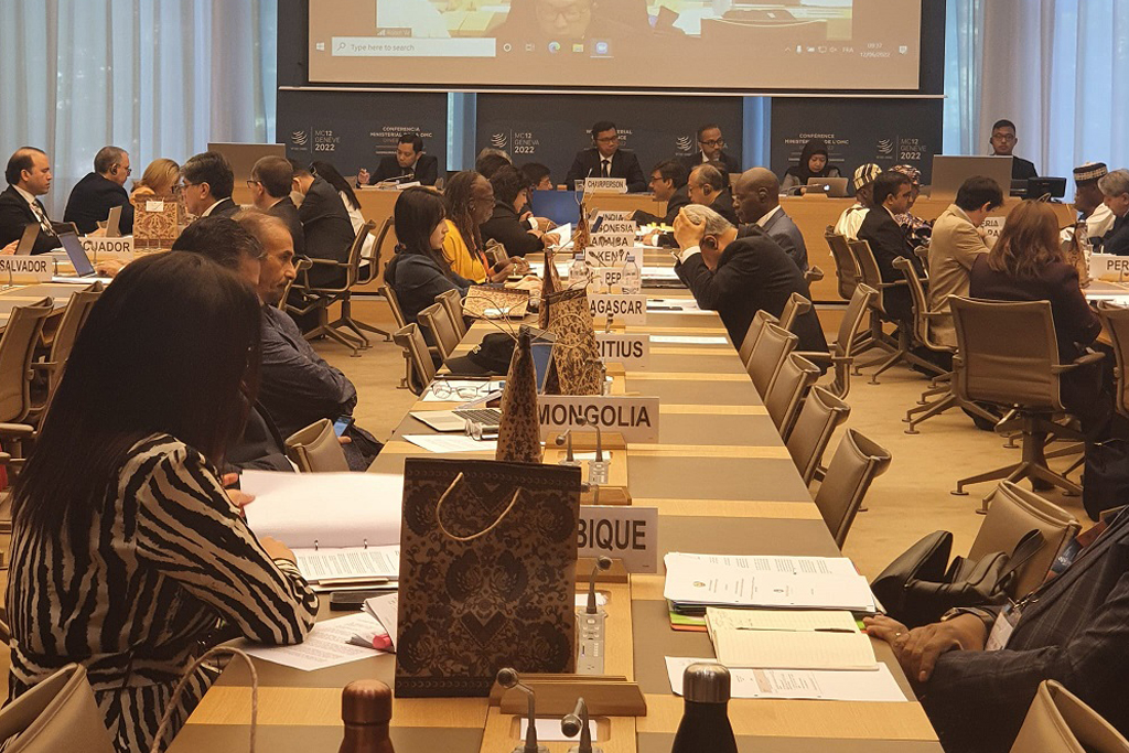 Pertemuan Kelompok G33 Jelang Konferensi Tingkat Menteri (KTM) ke-12 ...